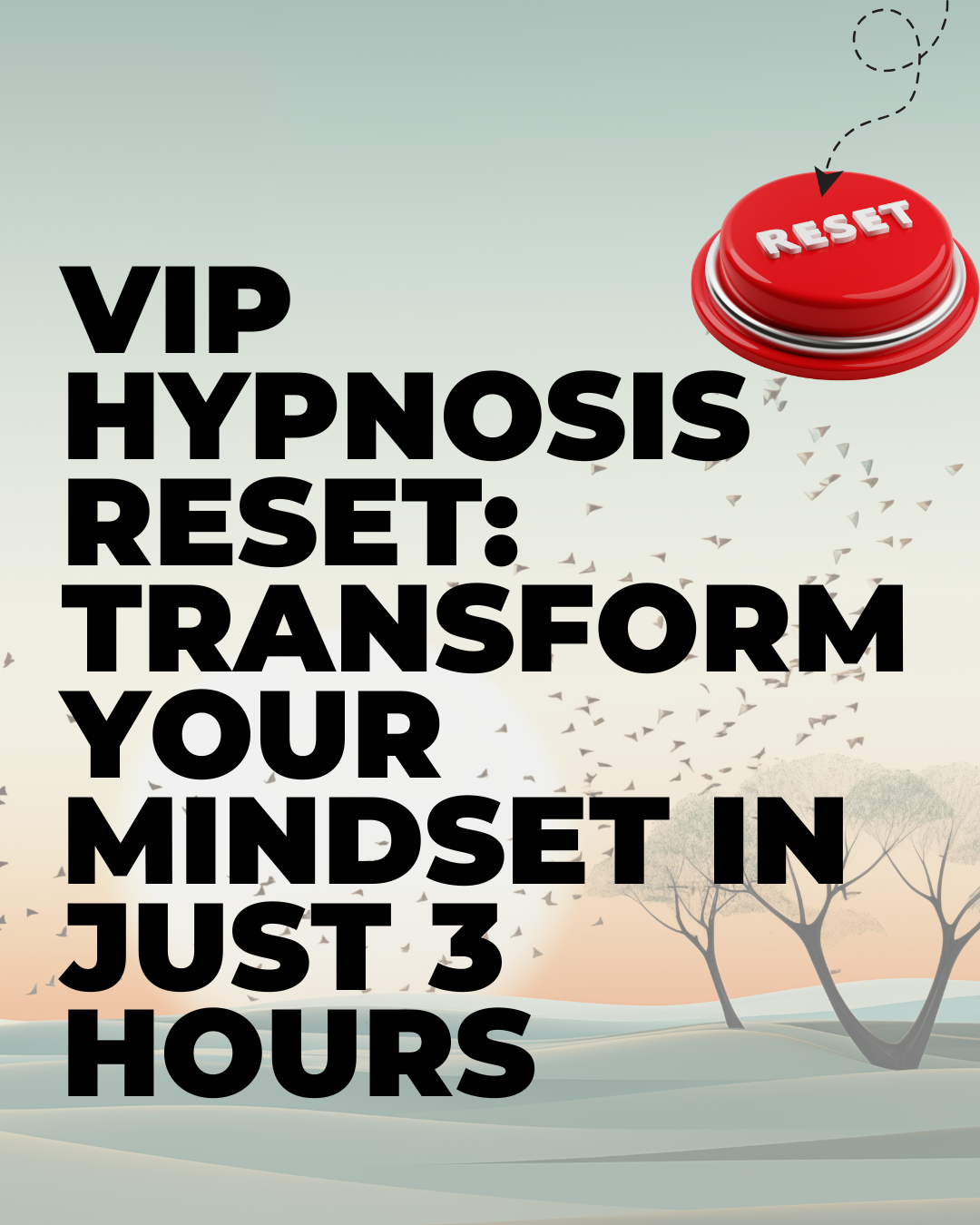 Vip Hypnosis Reset Experience 3 Hours To Solve Your Biggest Issue